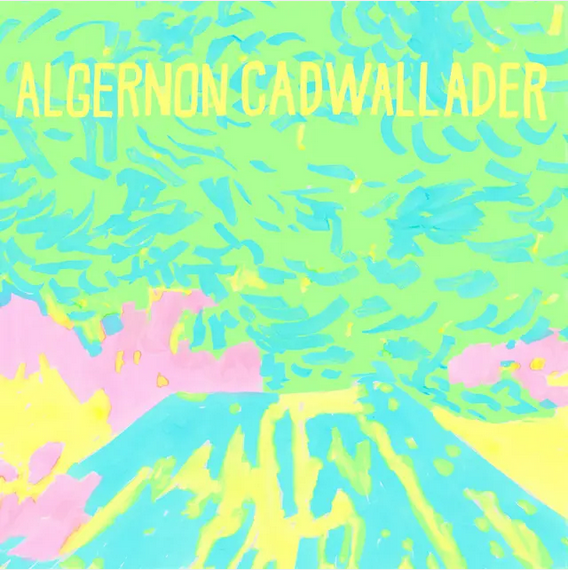 Algernon Cadwallader 'Trying Not to Have a Thought' LP – Bear Tree Records